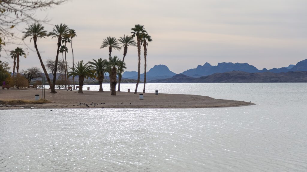 Lake Havasu City – Rotary Park – Arizona Birding Trail