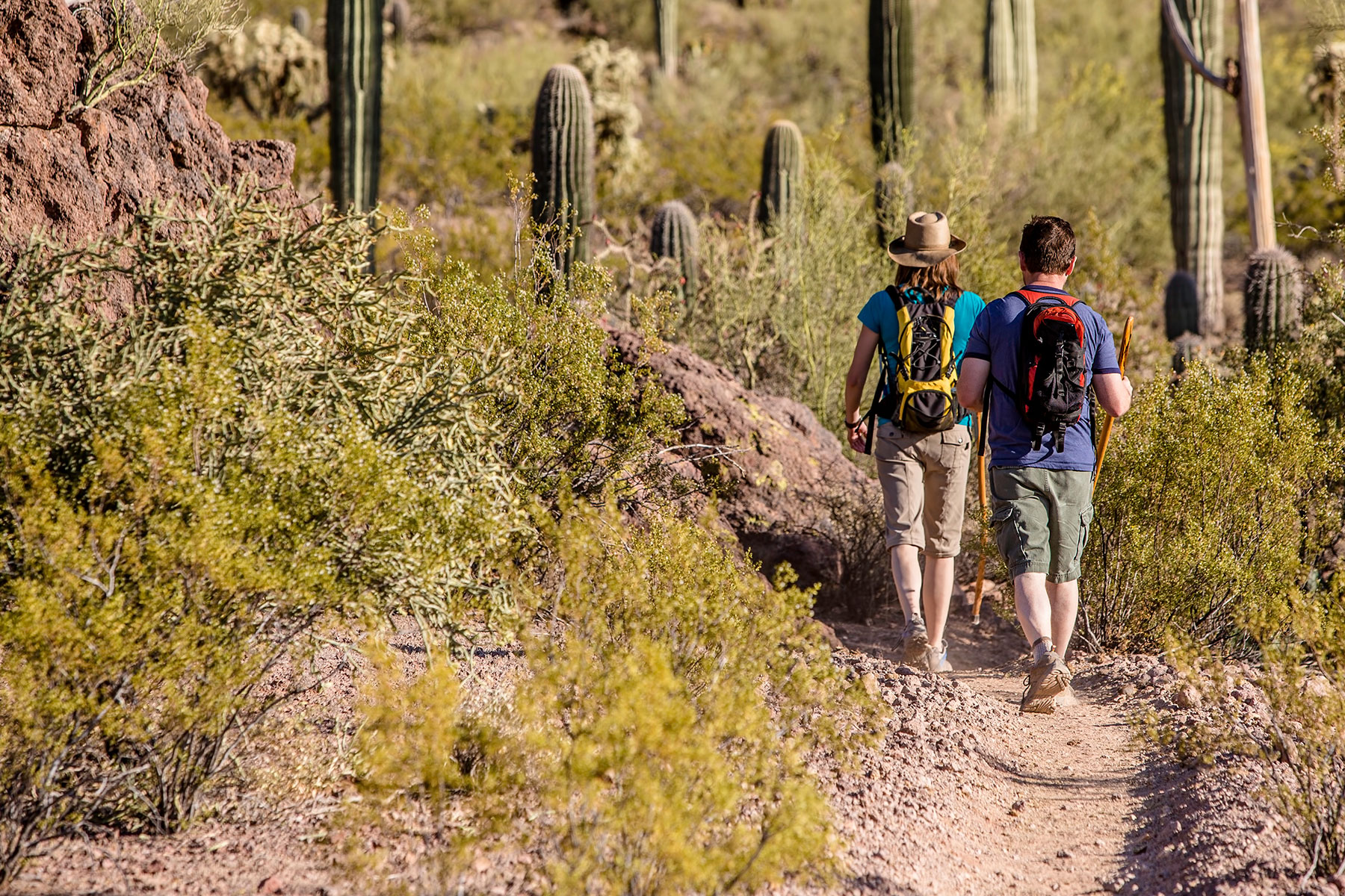 Birding Basics – Arizona Birding Trail