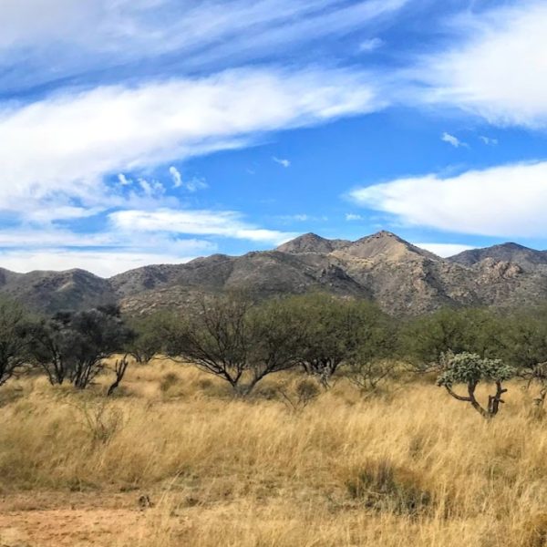 Arizona Birding Trail